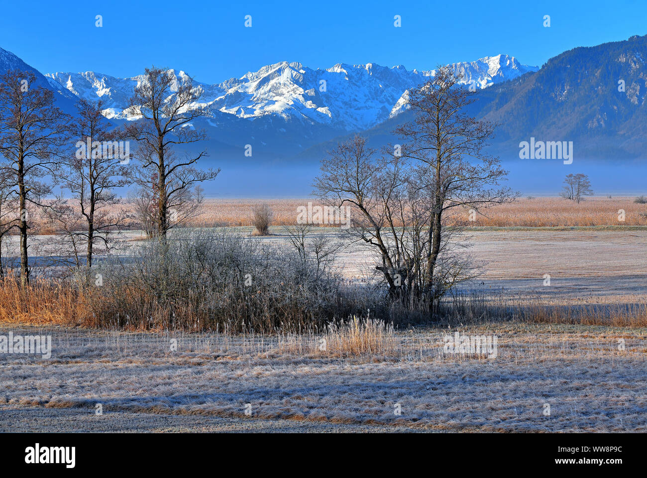 Moorland Murnauer Moos in early spring against Estergebirge 2086m and ...