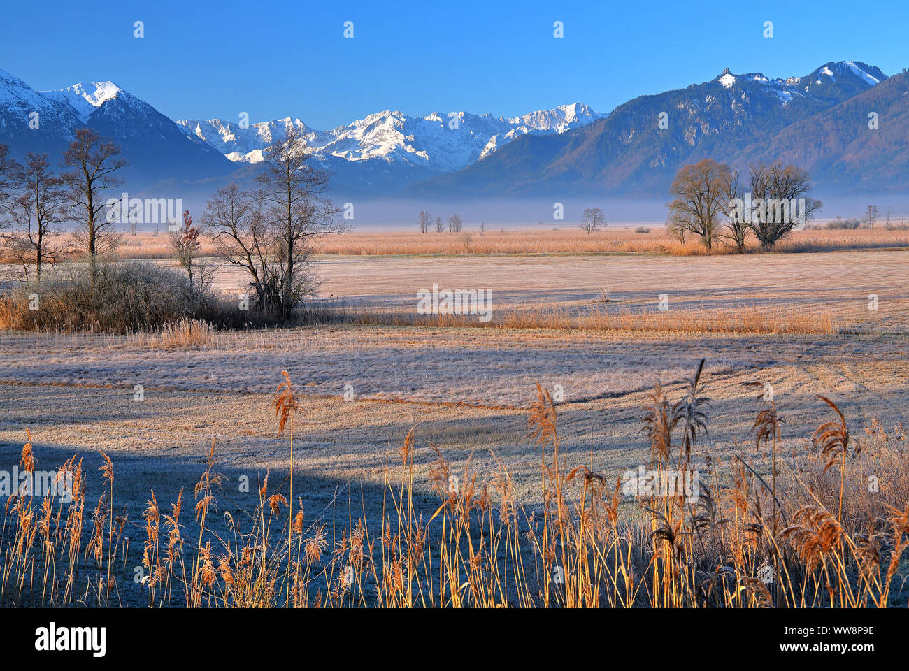 Moorland Murnauer Moos in early spring against Estergebirge 2086m and ...