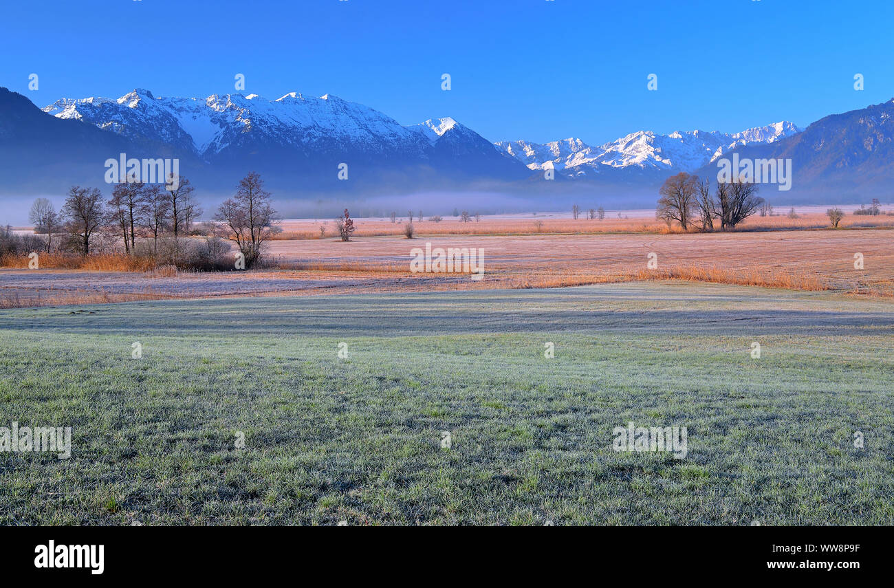 Moorland Murnauer Moos in early spring against Estergebirge 2086m and ...