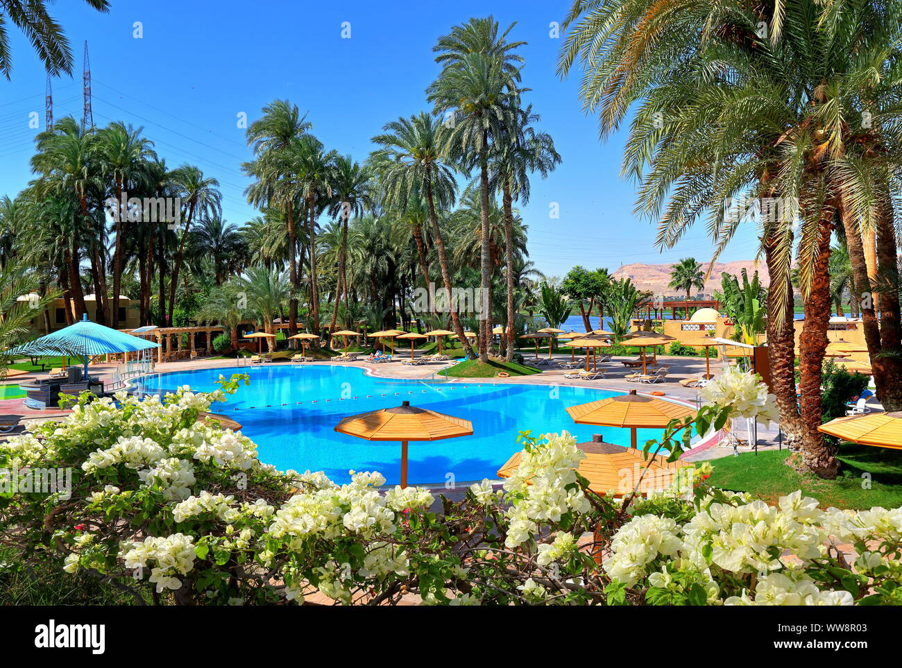 Pool on dawn in egypt hi-res stock photography and images - Alamy