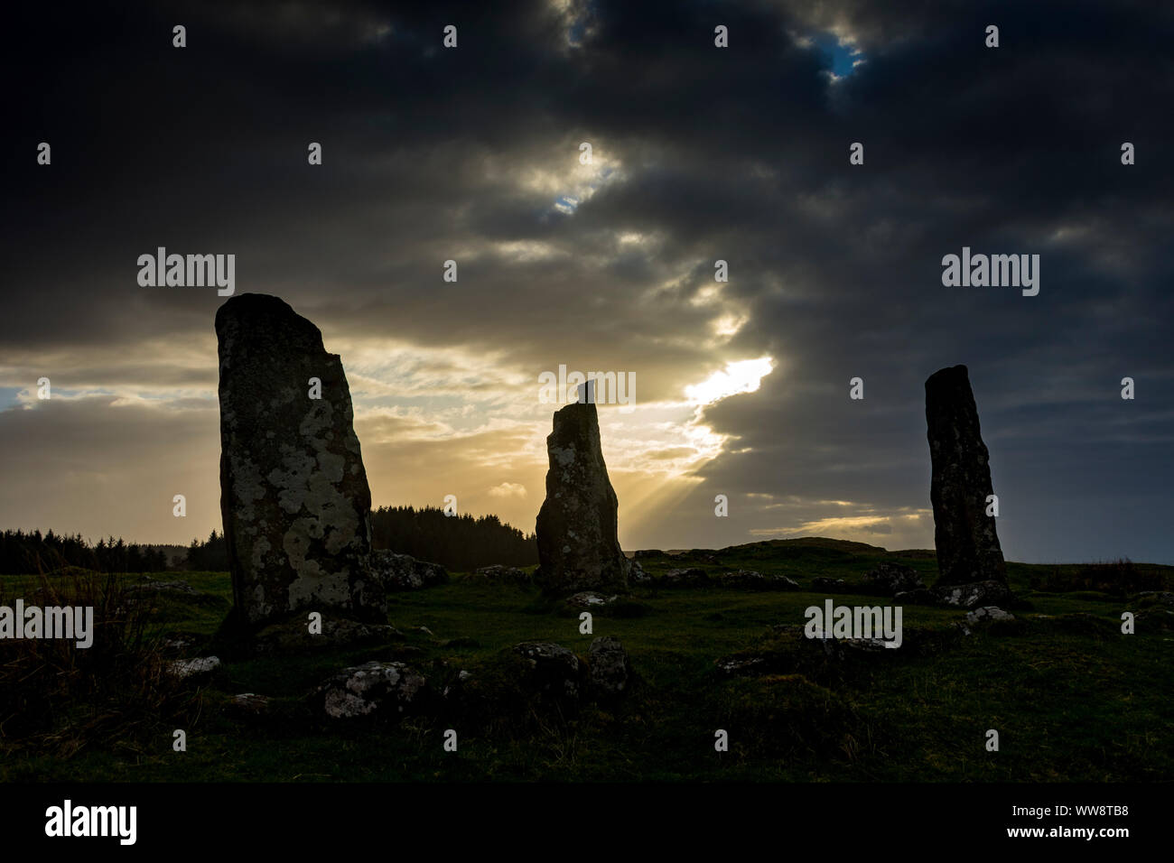 The Glengorm standing stones, near Glengorm Castle, Isle of Mull ...