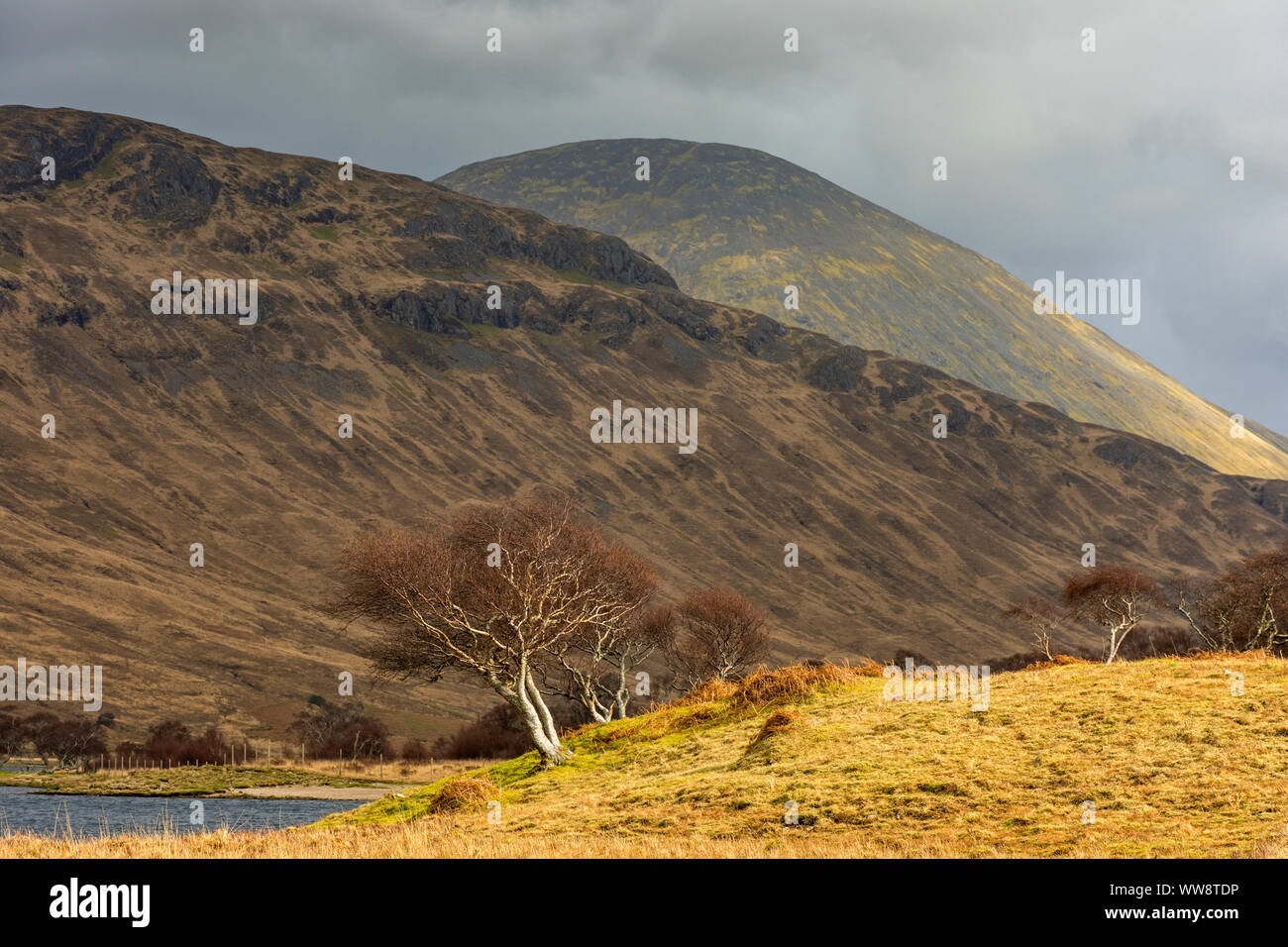The slopes of Beinn na Duatharach with Beinn Talaidh behind, over Loch ...