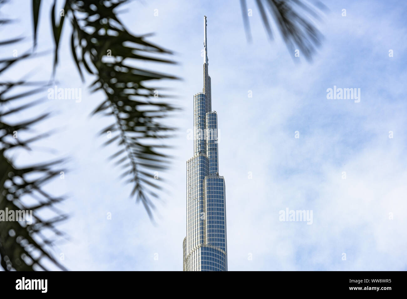 View of the magnificent Burj Khalifa framed by some palm trees in the ...