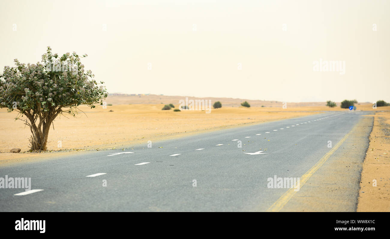 (Selective focus) Stunning view of a deserted road covered by sand ...
