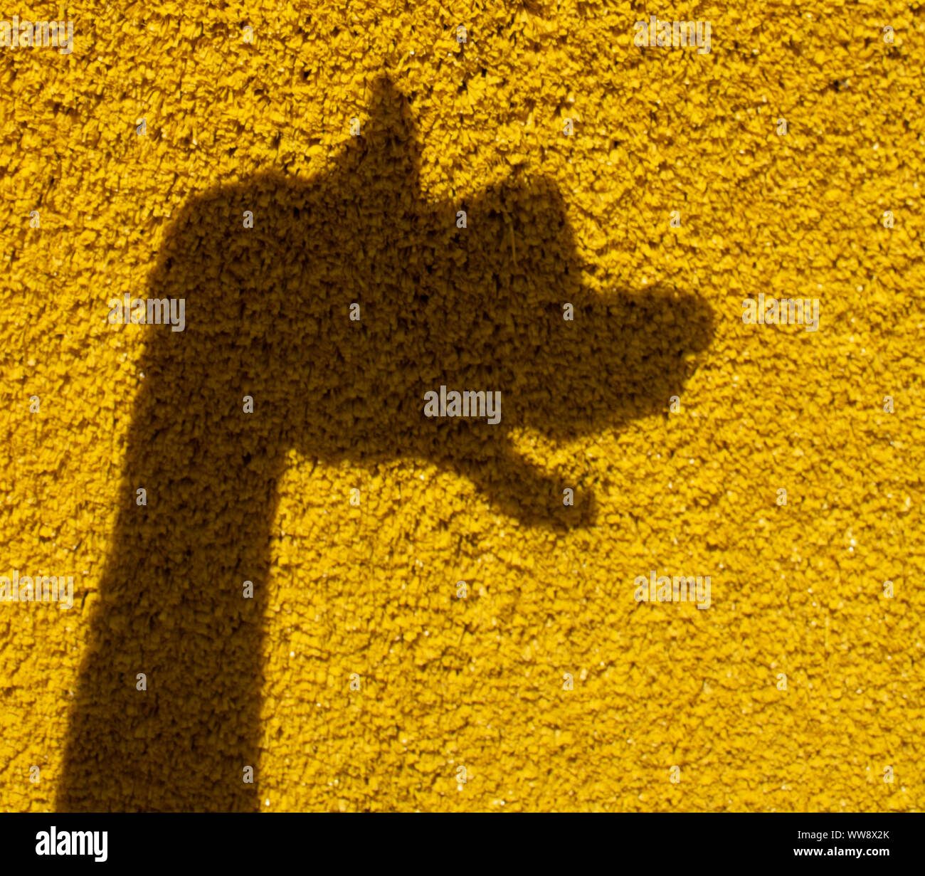 Dog Shadow Stock Photos & Dog Shadow Stock Images - Alamy