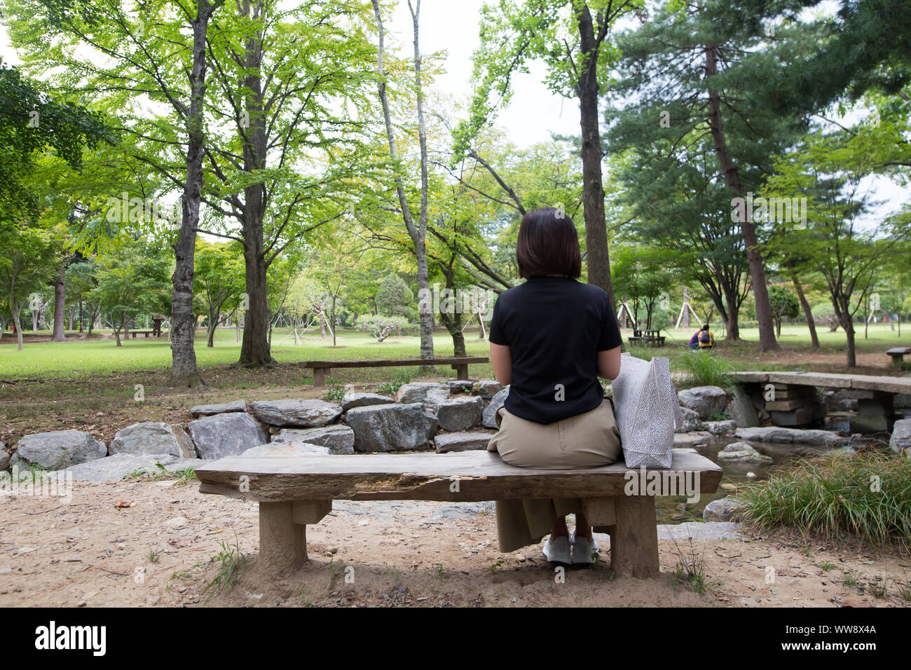 Natural landscape scenics around Nami Island in Seoul South Korea Asia ...