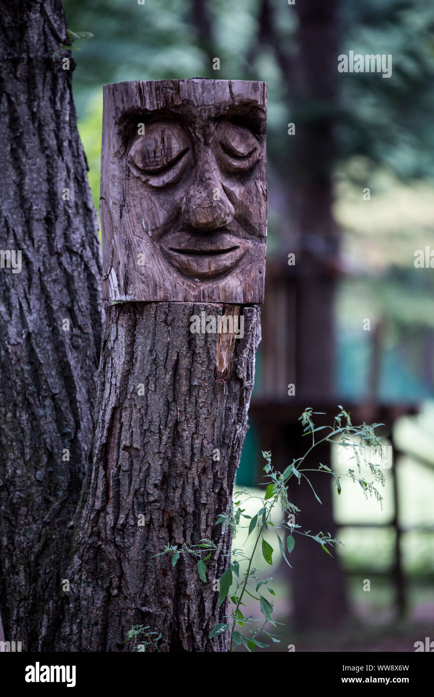 Numerous giant size stone statue at Nami Island Seoul South Korea Stock ...