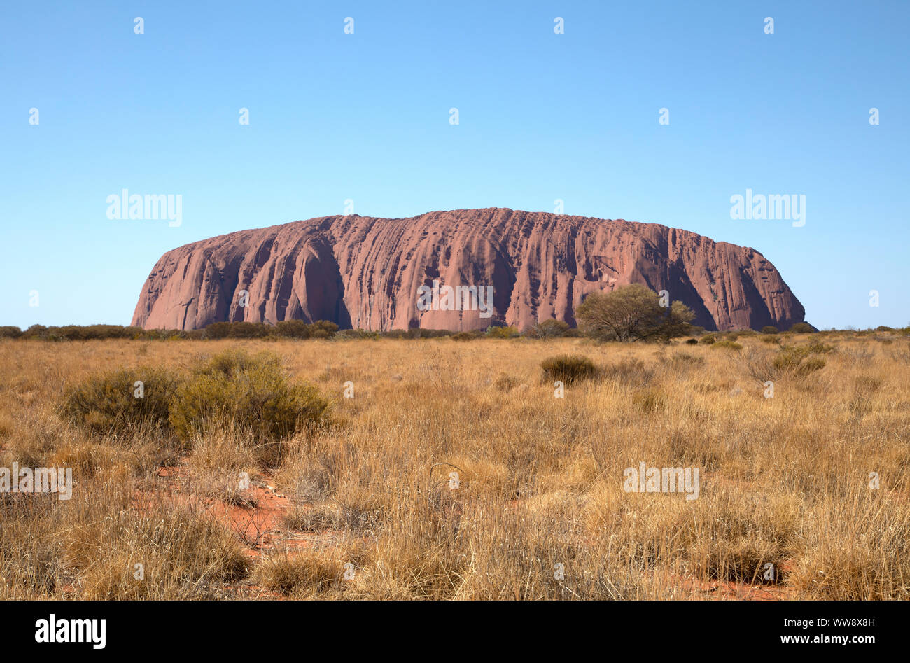 Field Of Light Ayers Rock High Resolution Stock Photography and Images ...