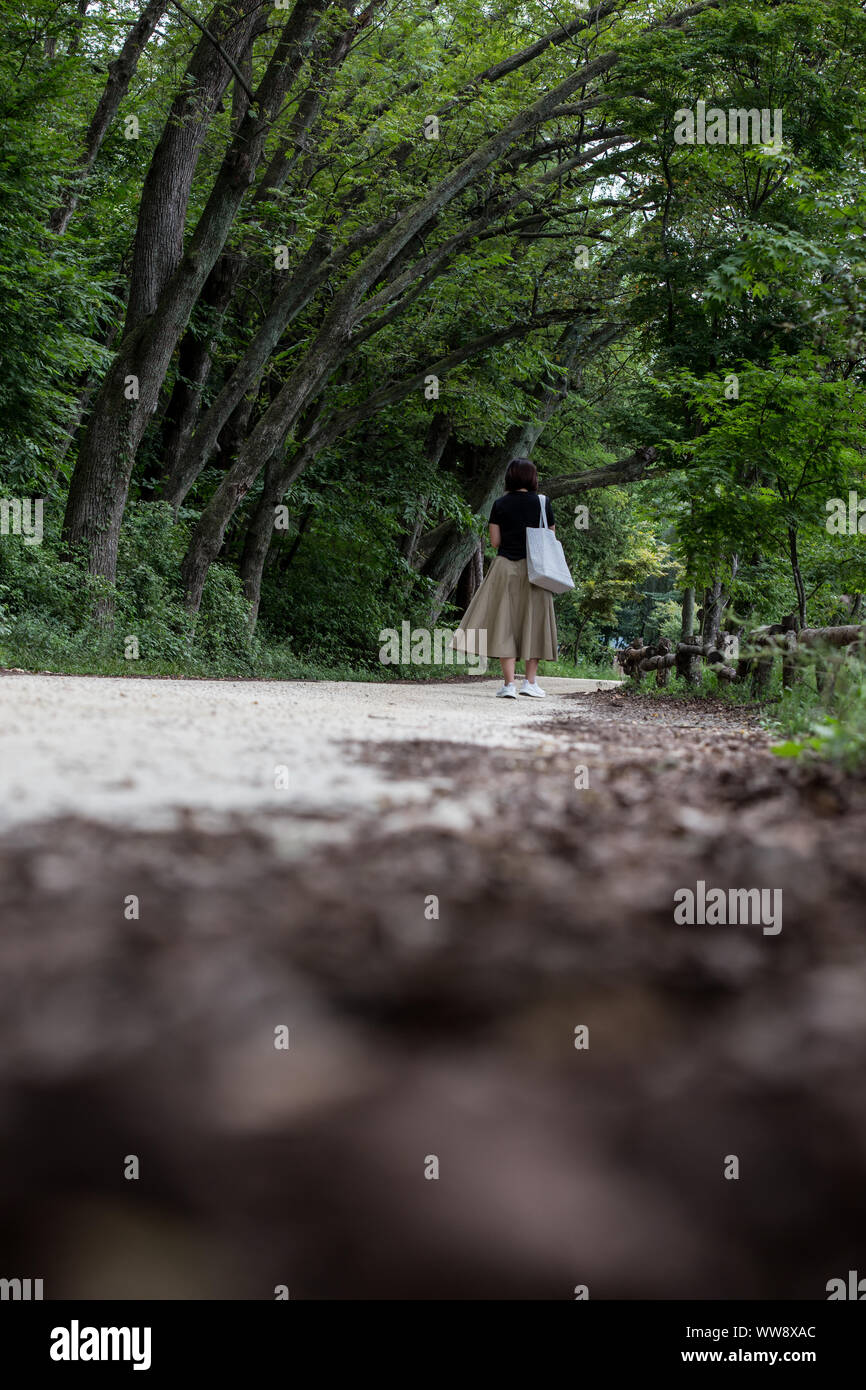 Natural landscape scenics around Nami Island in Seoul South Korea Asia ...