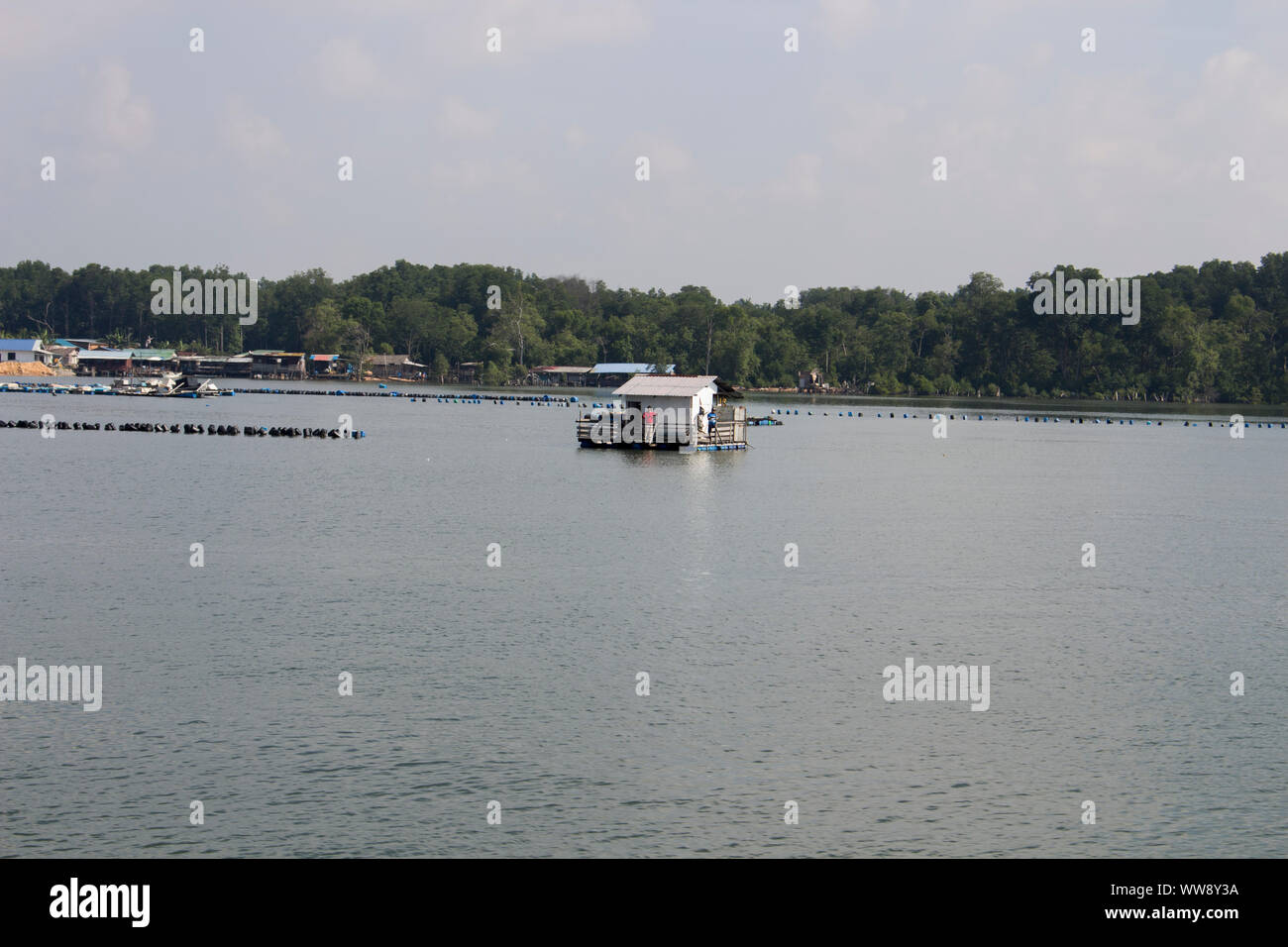 BATAM, INDONESIA - 12 DECEMBER 2018: Ferry and ships transporting ...