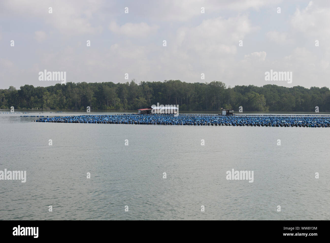 BATAM, INDONESIA - 12 DECEMBER 2018: Ferry and ships transporting ...