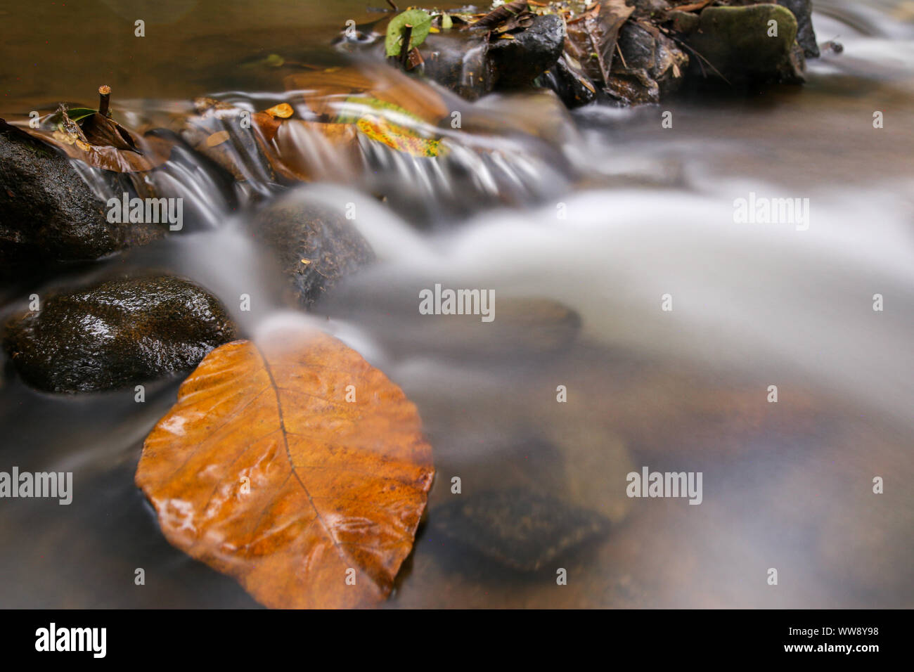 Slow shutter capturing flowing water of cascading trickling stream in ...