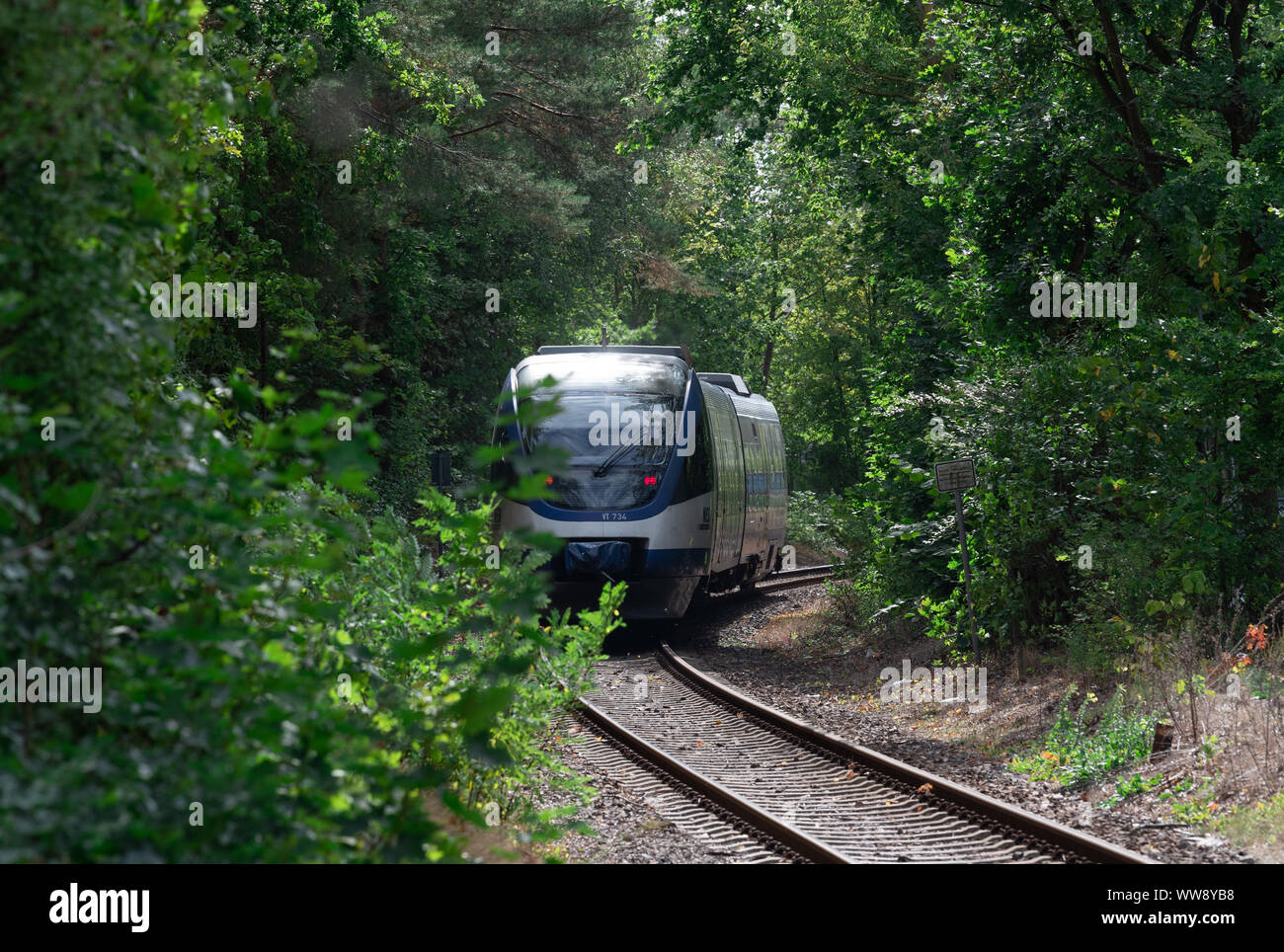 Wandlitz, Germany. 10th Sep, 2019. The regional train of the ...