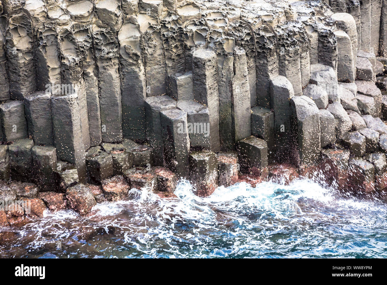 Volcanic pillar cliff near sea shore seaside in Jusangjeolli Seogwipo ...