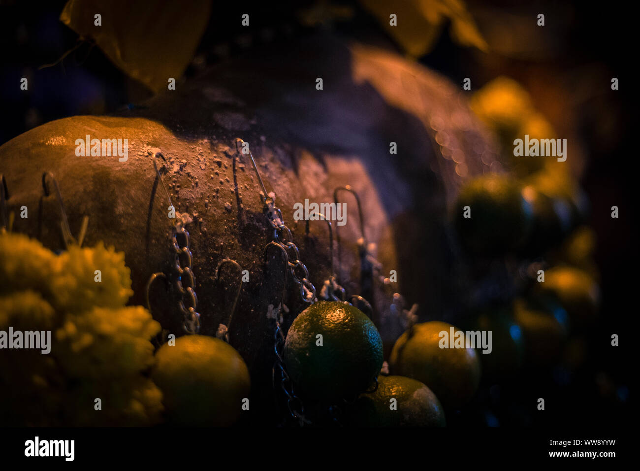 Piercing ritual of Hindu devotee during the Thaipusam festival in ...
