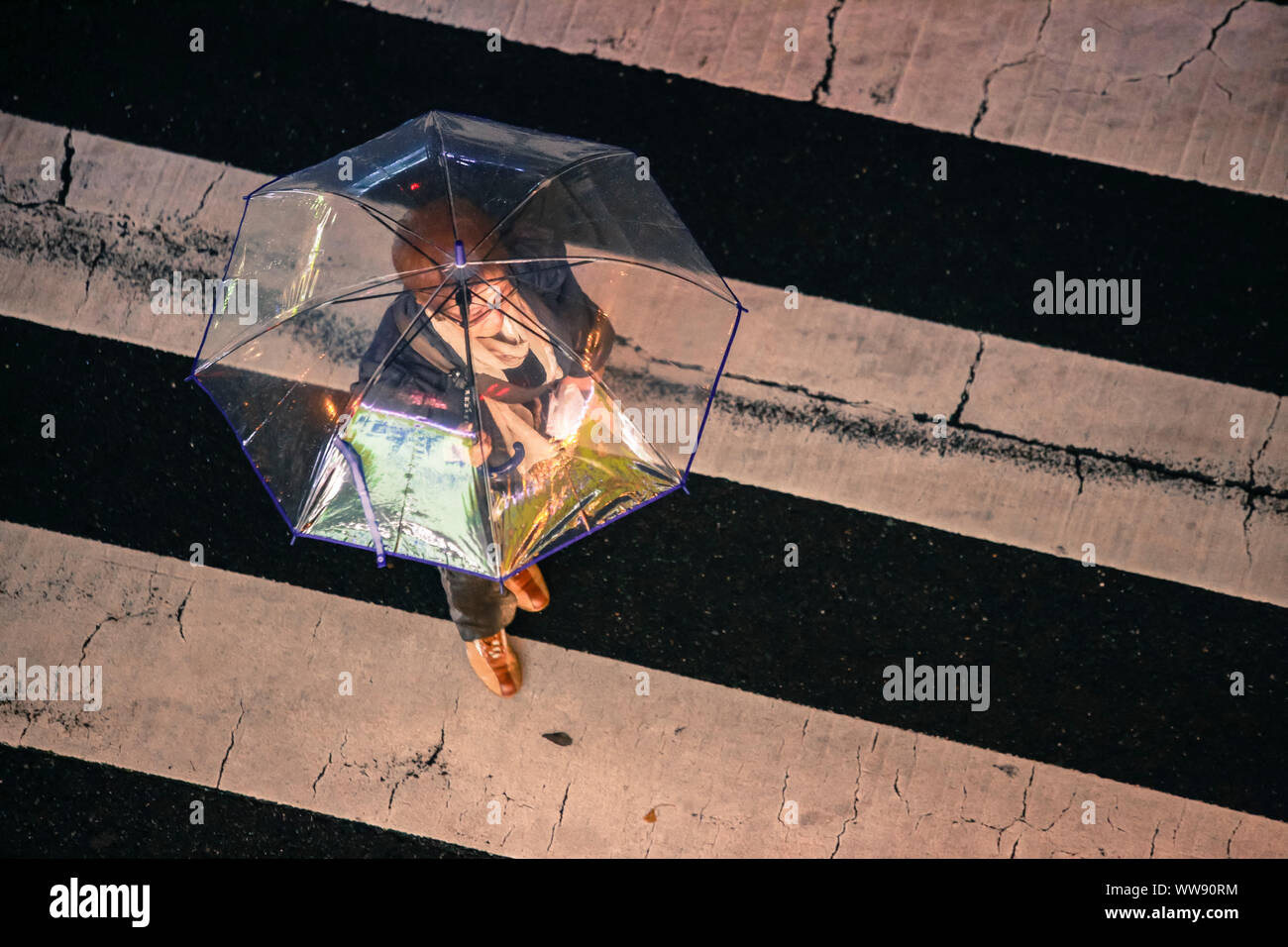 Overhead view of person with transparent umbrella walking at zebra ...