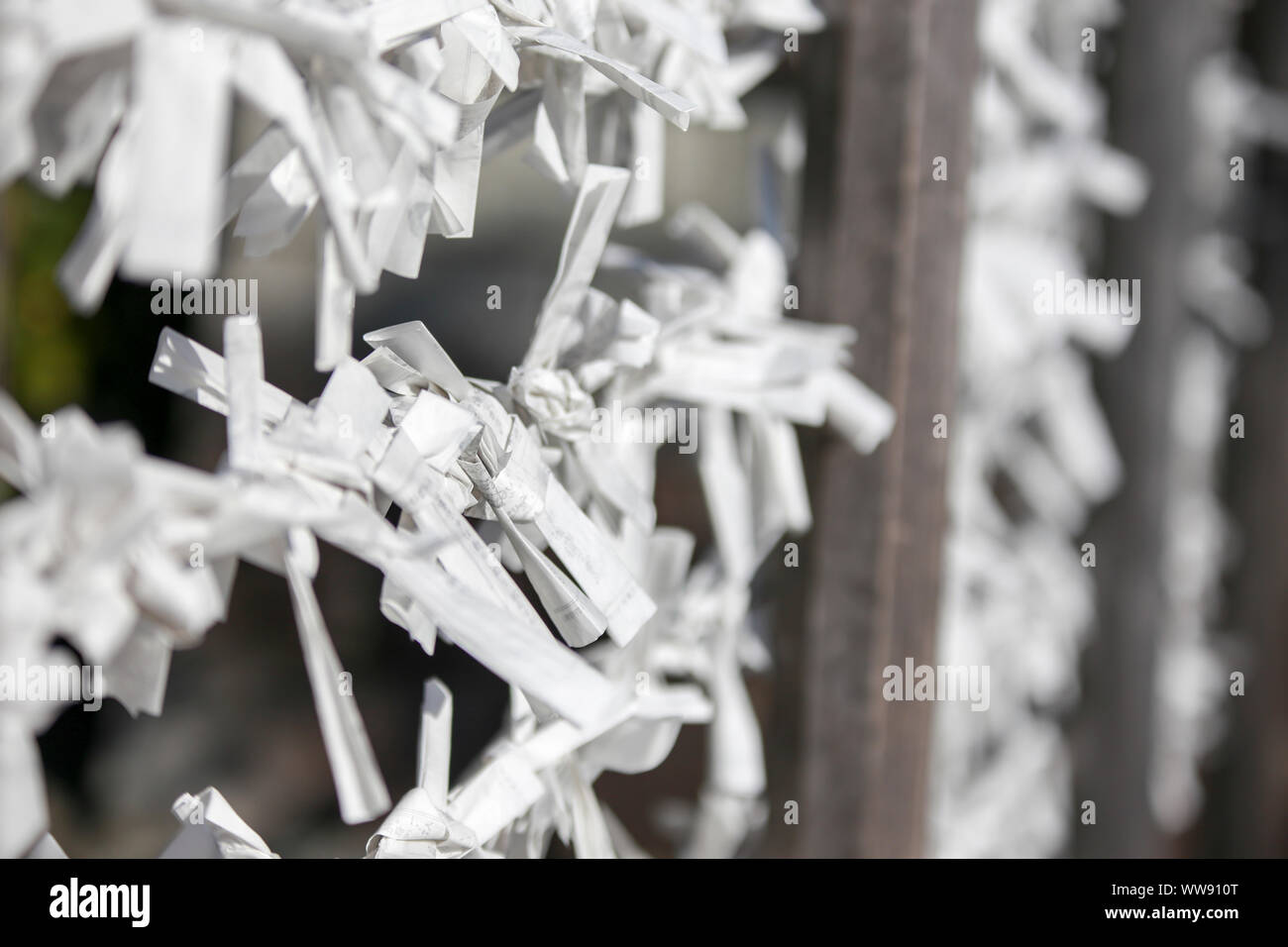 Traditional omikuji paper for fortune, fate, luck and blessing prayer ...