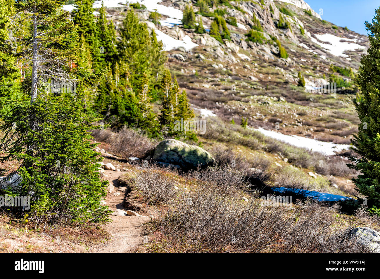 Mountains view and pine trees at Linkins Lake trail path on ...