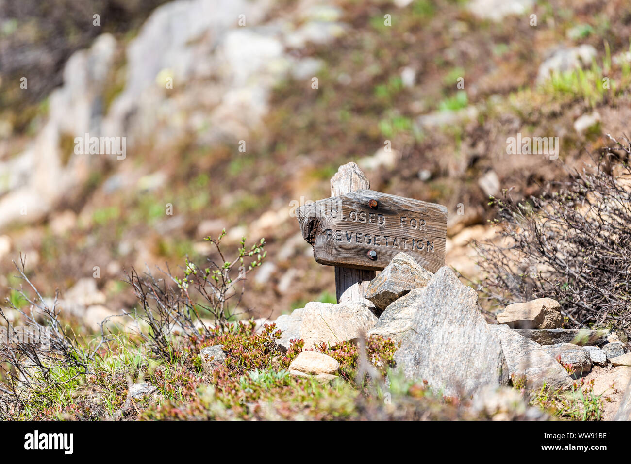 Sign for revegetation at Linkins Lake trail on trailhead on ...