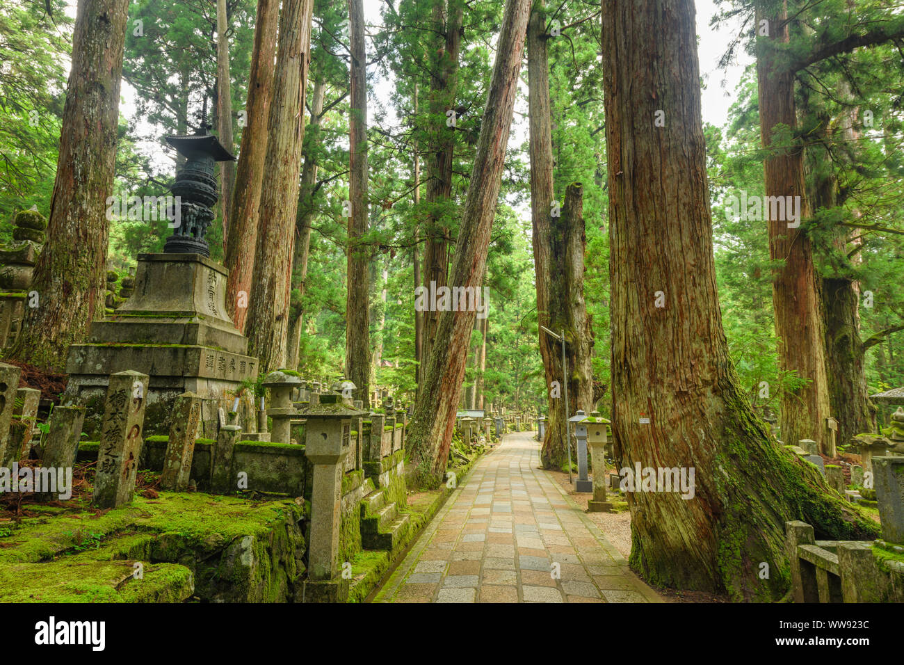 Wakayama, Japan - 23 July 2019: Historical pilgrimage route lined with ...