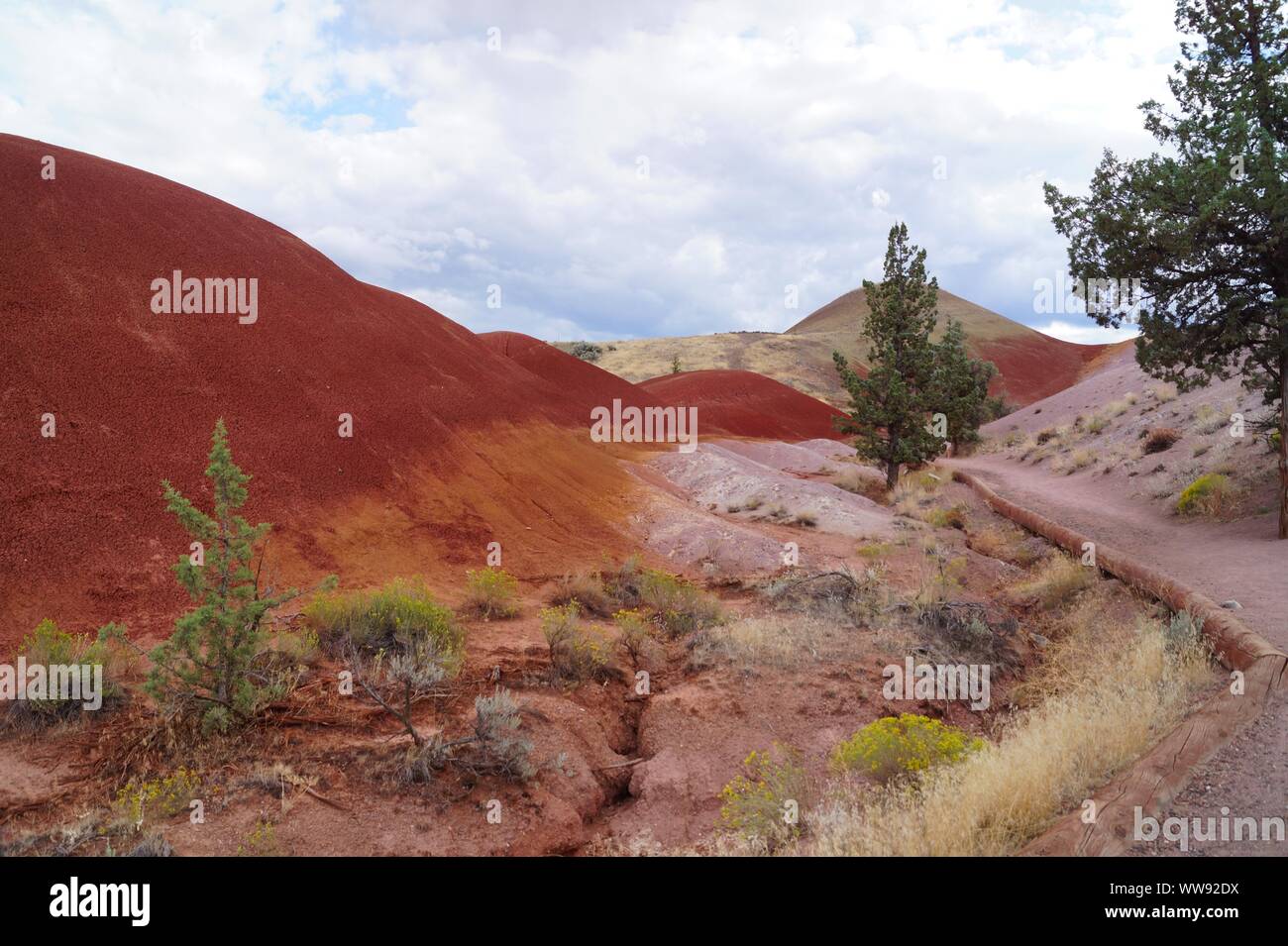 Pink path hi-res stock photography and images - Alamy