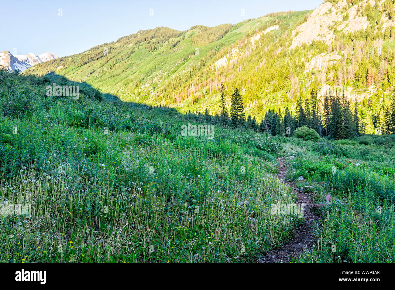 Green meadow field with path on sunny on Snowmass Lake hike trail in ...