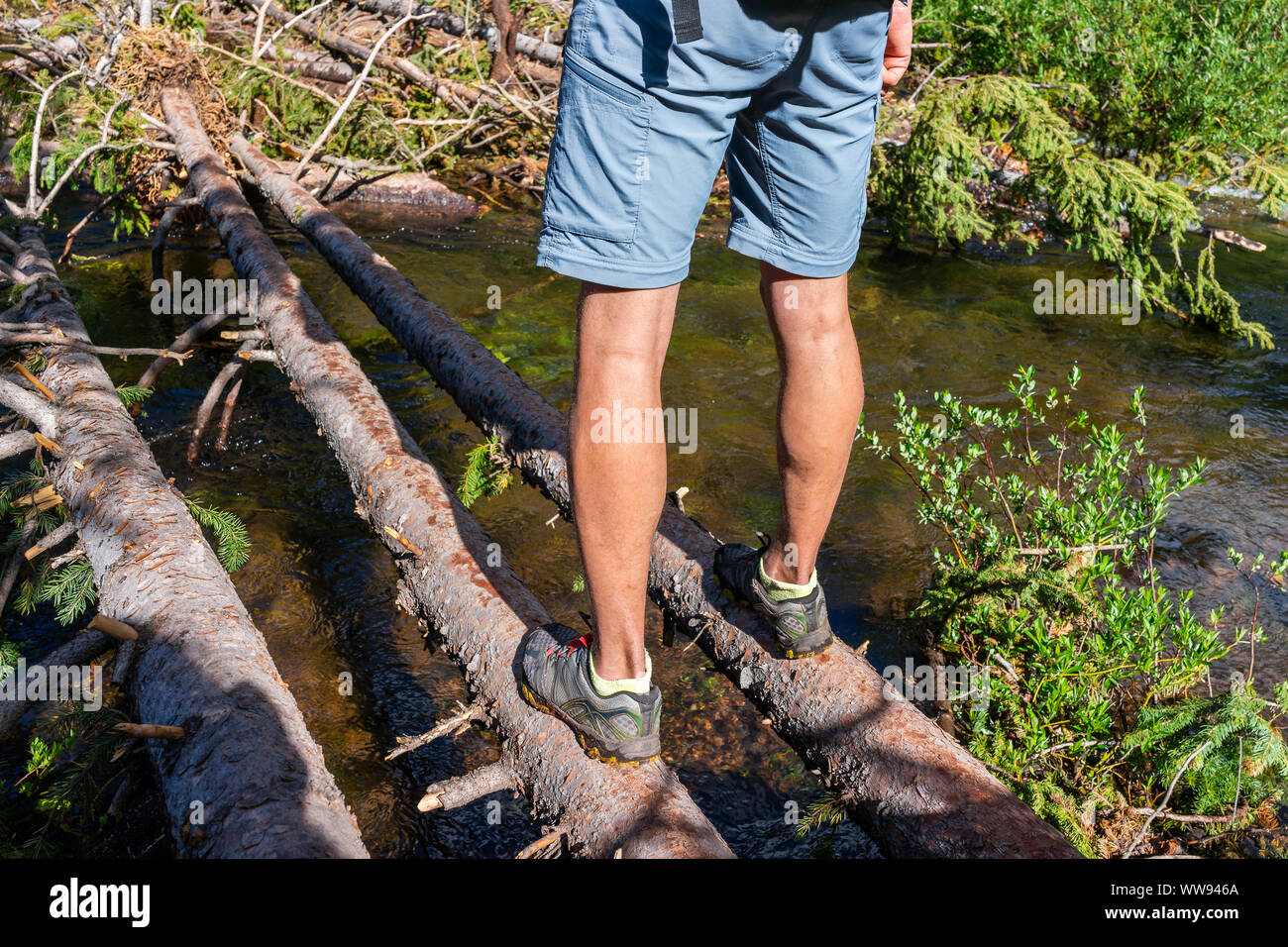 Log crossing stream hi-res stock photography and images - Alamy