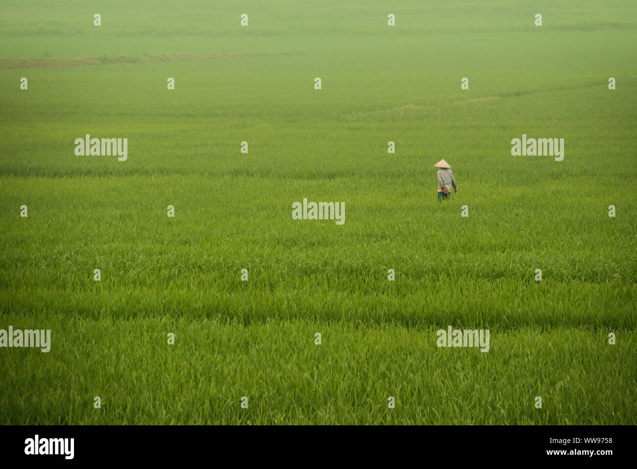 Ninh Bình, province in northern Vietnam's Red River Delta and is known ...