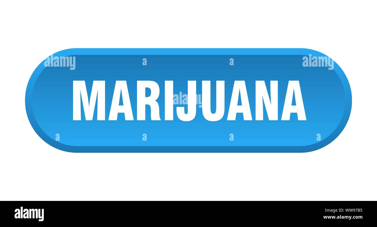 marijuana button. marijuana rounded blue sign. marijuana Stock Vector ... marijuana button. marijuana rounded blue sign. marijuana Stock Vector ...