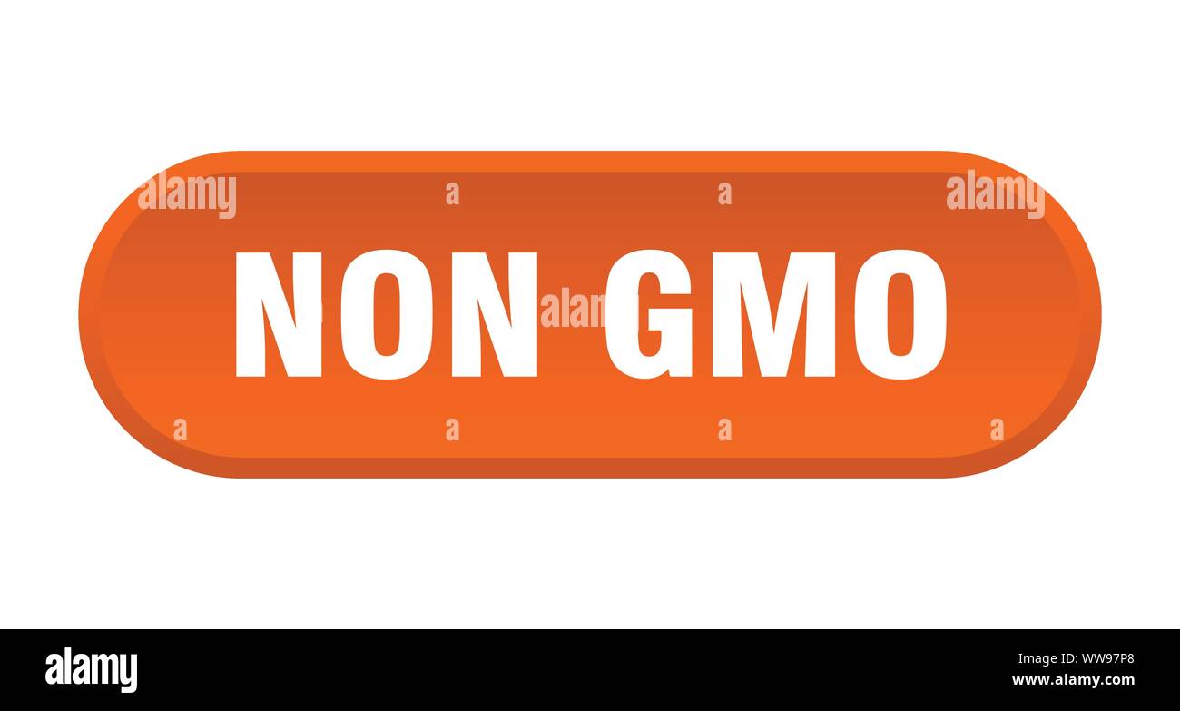 non gmo button. non gmo rounded orange sign. non gmo Stock Vector Image ...
