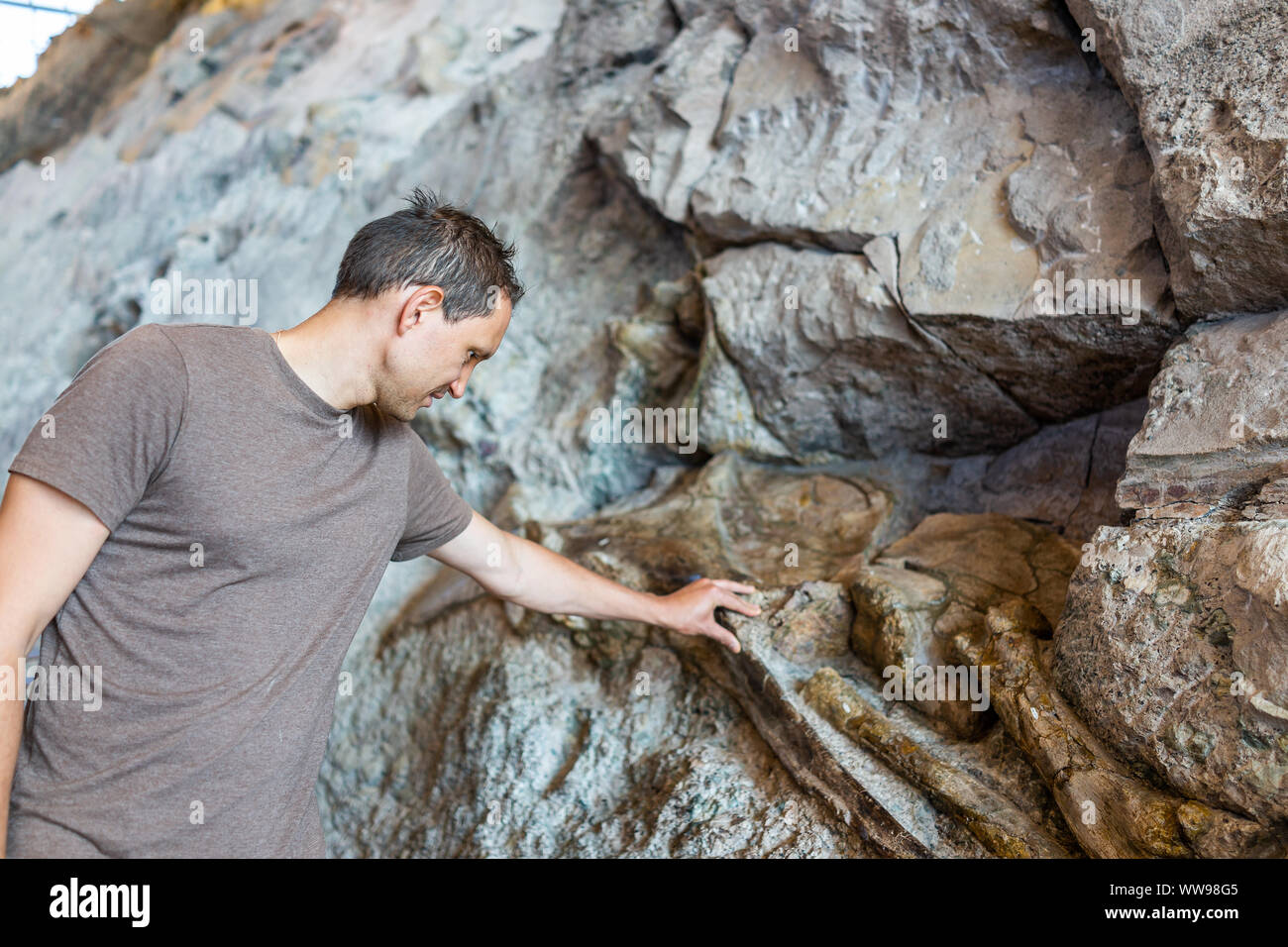 Man touching bones in Quarry visitor center exhibit hall in Dinosaur ...