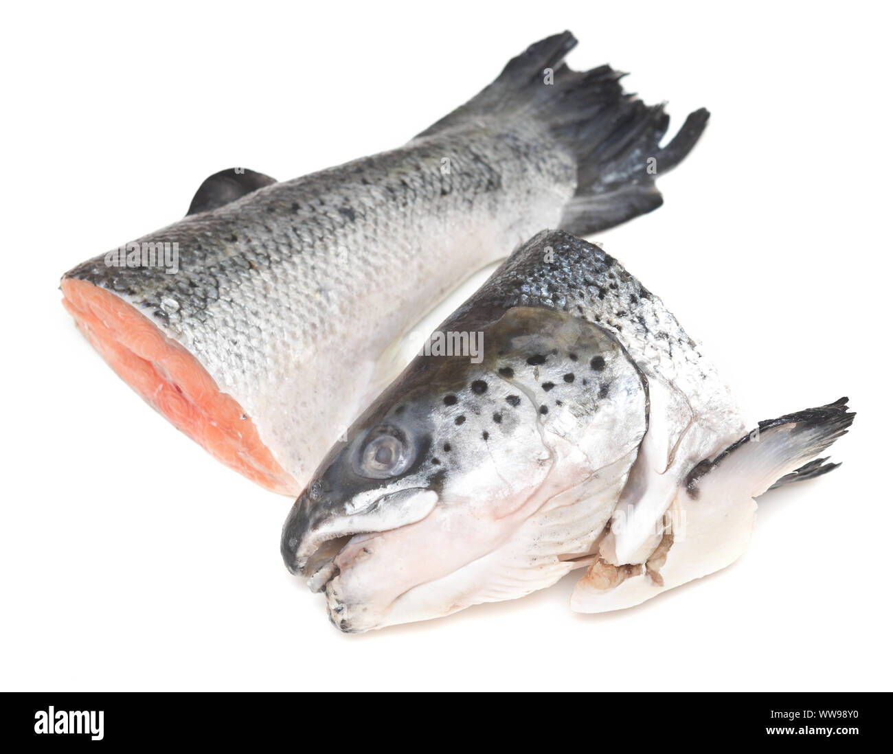 Salmon head and tail isolated on white background Stock Photo - Alamy