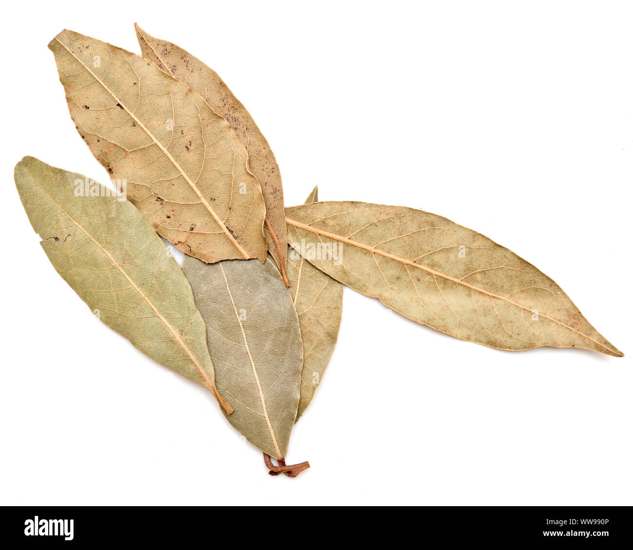 Bay leaves isolated on white background Stock Photo - Alamy