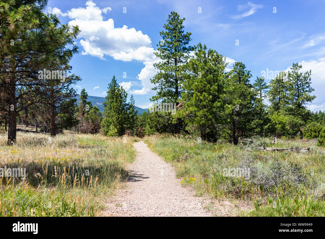 Dutch John, USA Flaming Gorge in summer in Utah National Park with ...