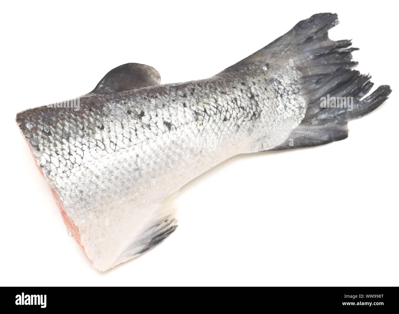 Salmon tail isolated on white background Stock Photo - Alamy