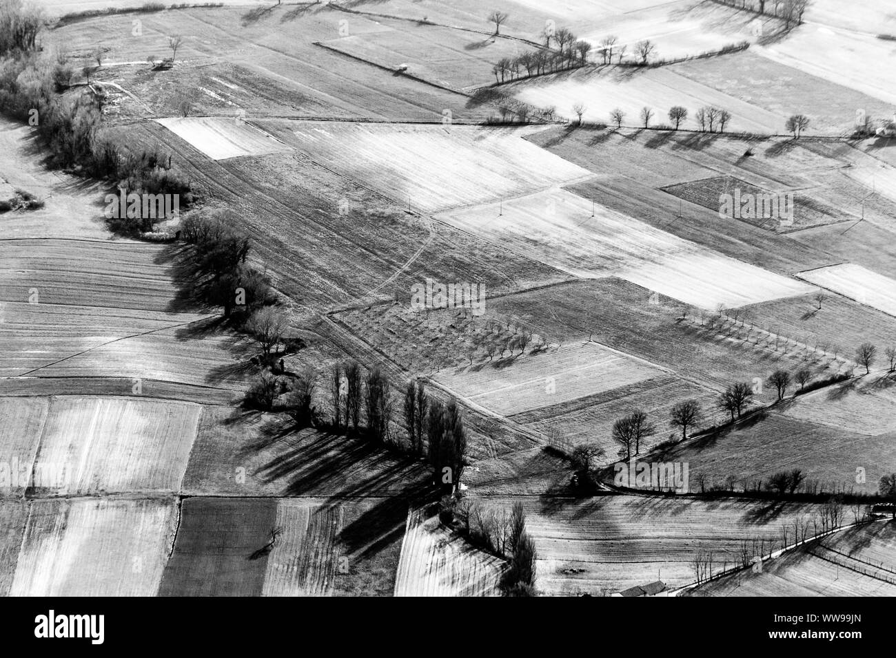 Aerial view of meadows and trees with their shadows Stock Photo - Alamy