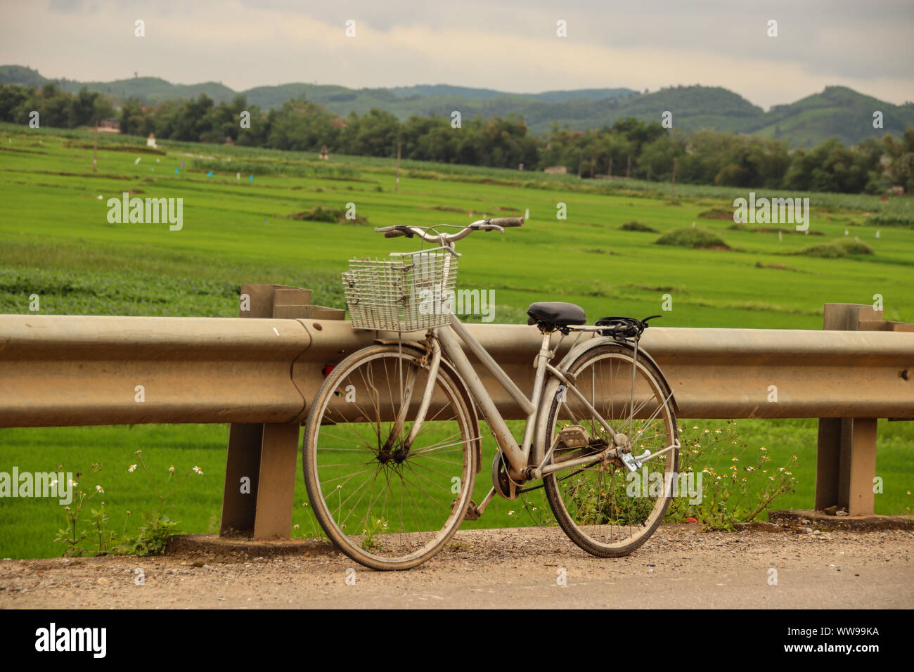 An oma fiets or granny bike parked at the side of the road against the ...