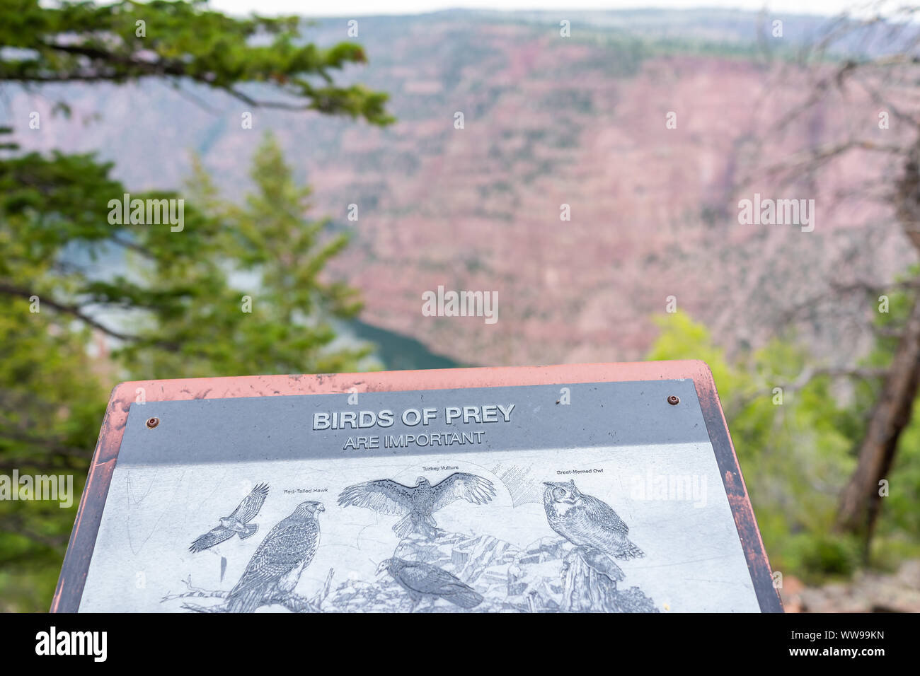 Dutch John, USA - July 24, 2019: View from Canyon Rim overlook in ...