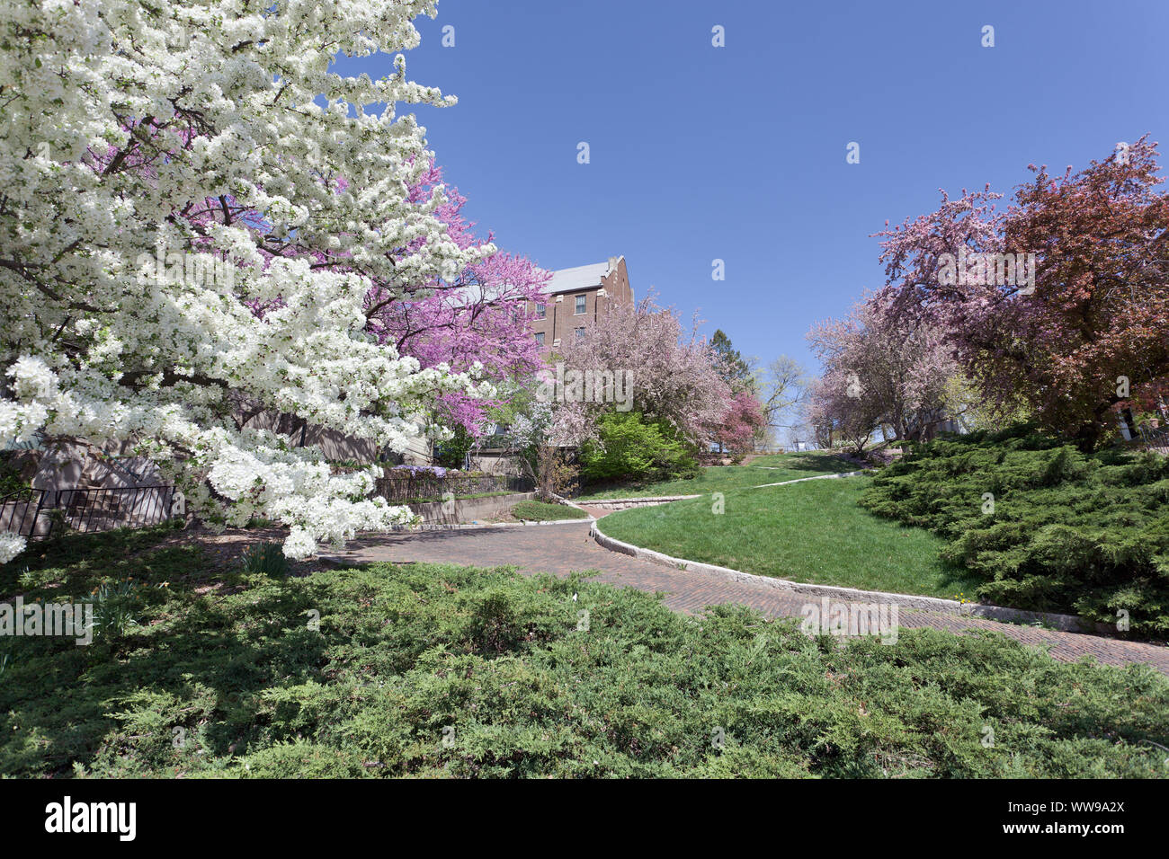Historic Snake Alley; crookedest street in the world, in Burlington ...