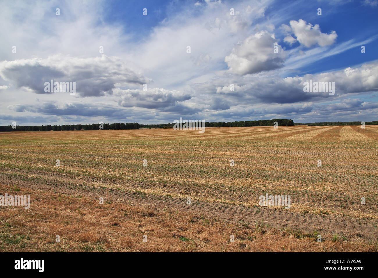Fields and forests of Poland Stock Photo - Alamy