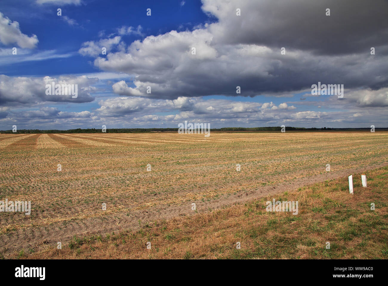 Fields and forests of Poland Stock Photo - Alamy