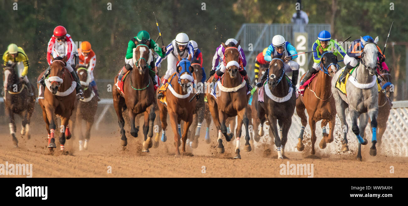 Horse racing at King Khalid Racetrack, Taif, Saudi Arabia, 14/06/2019 ...