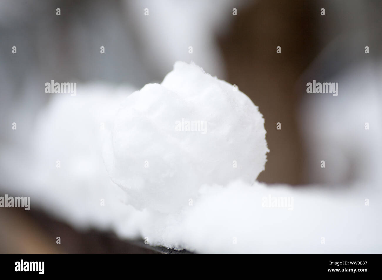 real snowballs with their hands clasped from the fresh snow in winter ...