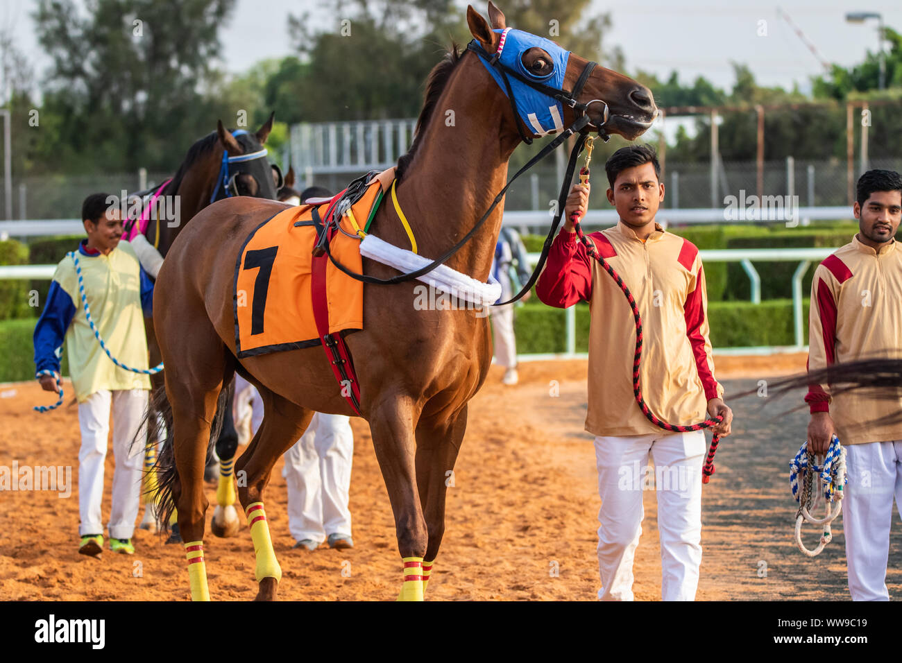 Horse racing at King Khalid Racetrack, Taif, Saudi Arabia, 14/06/2019 ...