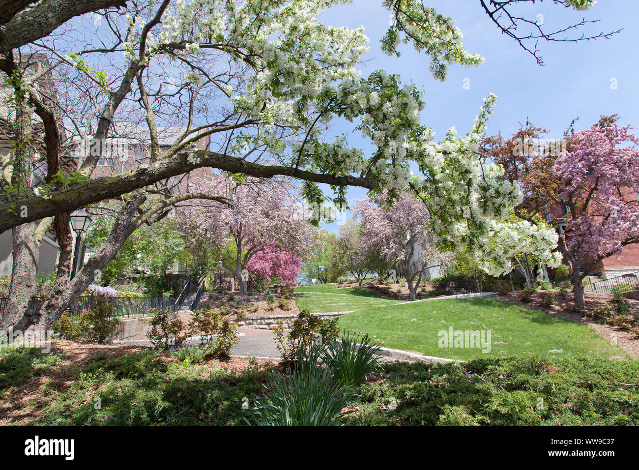 Historic Snake Alley; crookedest street in the world, in Burlington ...