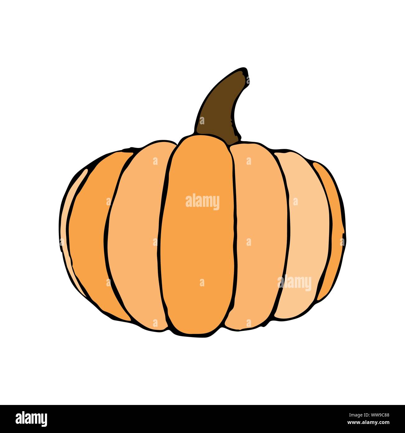 Vector hand drawn orange pumpkin. Sketch of garden vegetable. Doodle ...