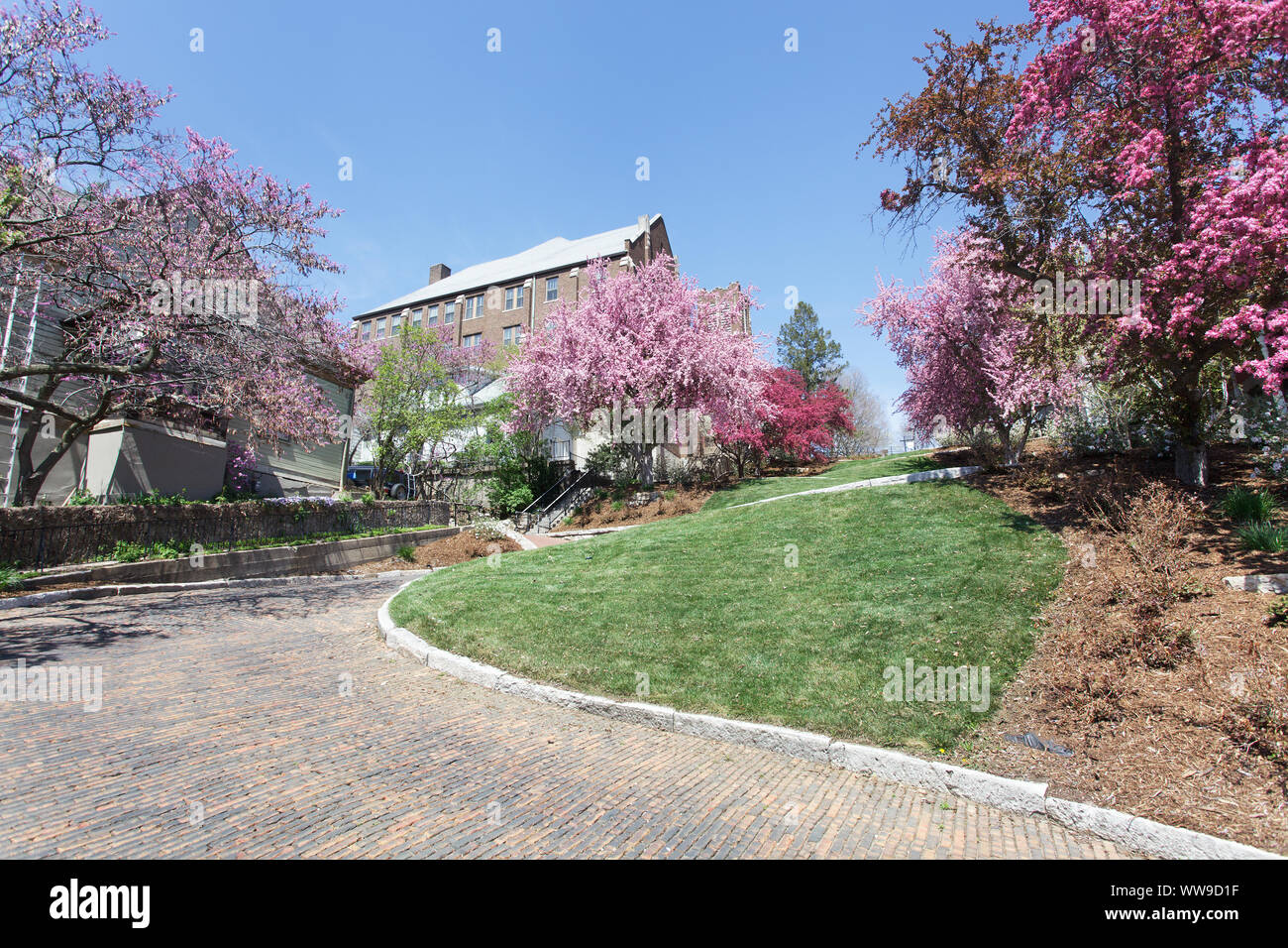 Historic Snake Alley; crookedest street in the world, in Burlington ...