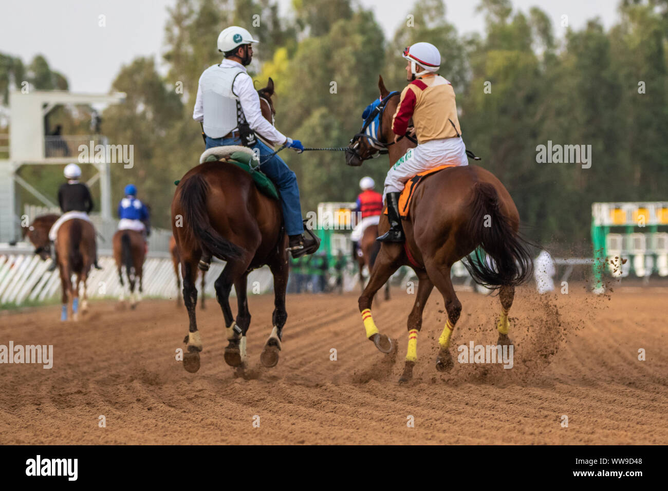 Horse racing at King Khalid Racetrack, Taif, Saudi Arabia, 14/06/2019 ...