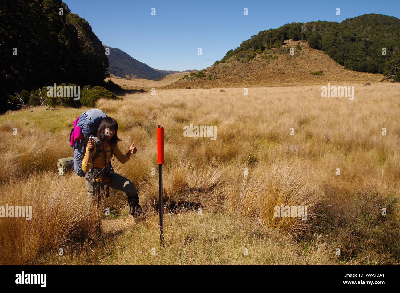 Female Thai Backpacker. Te Araroa Trail. Southland. South Island. New ...