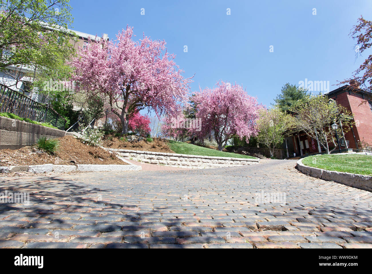 Historic Snake Alley; crookedest street in the world, in Burlington ...